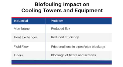 What is Industrial Biofouling? (Guide to Process, Problems, and Prevention)